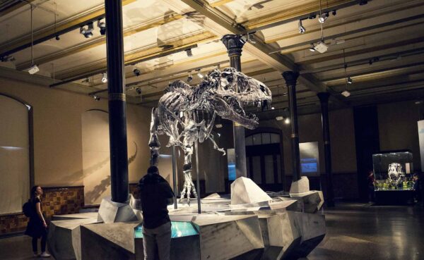 Virtual Tour Solutions for Museums